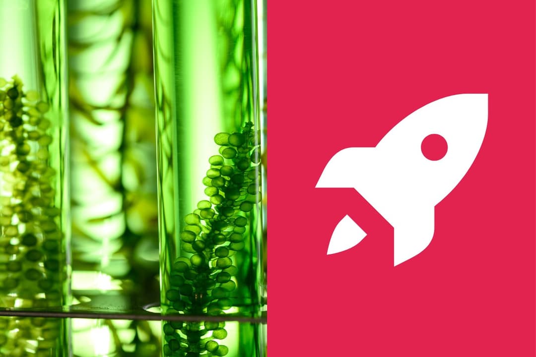 Top 209 Biotech Startups UK (Free List)