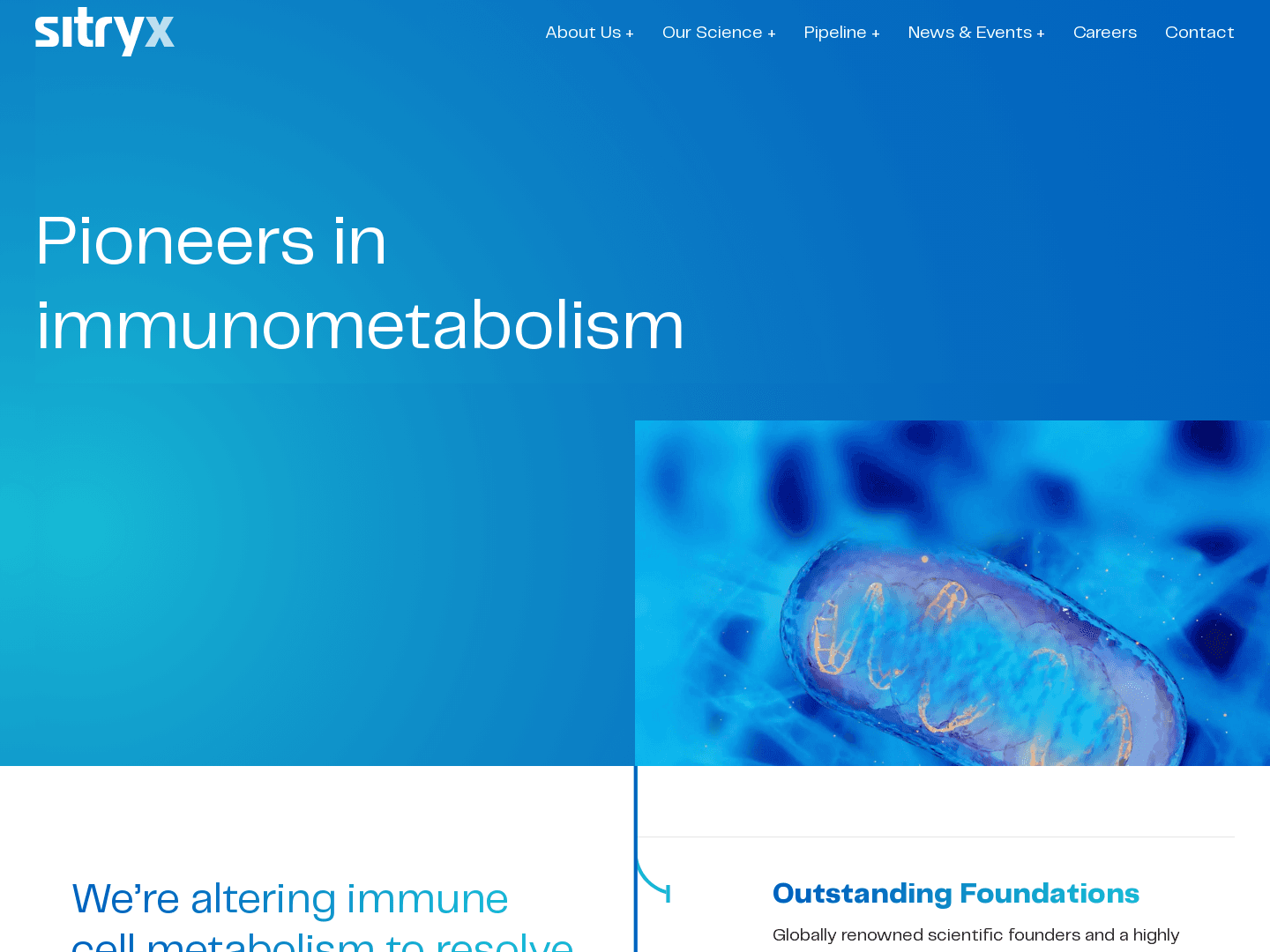 Sitryx Therapeutics closed US$39,000,000 in a sensational growth ...