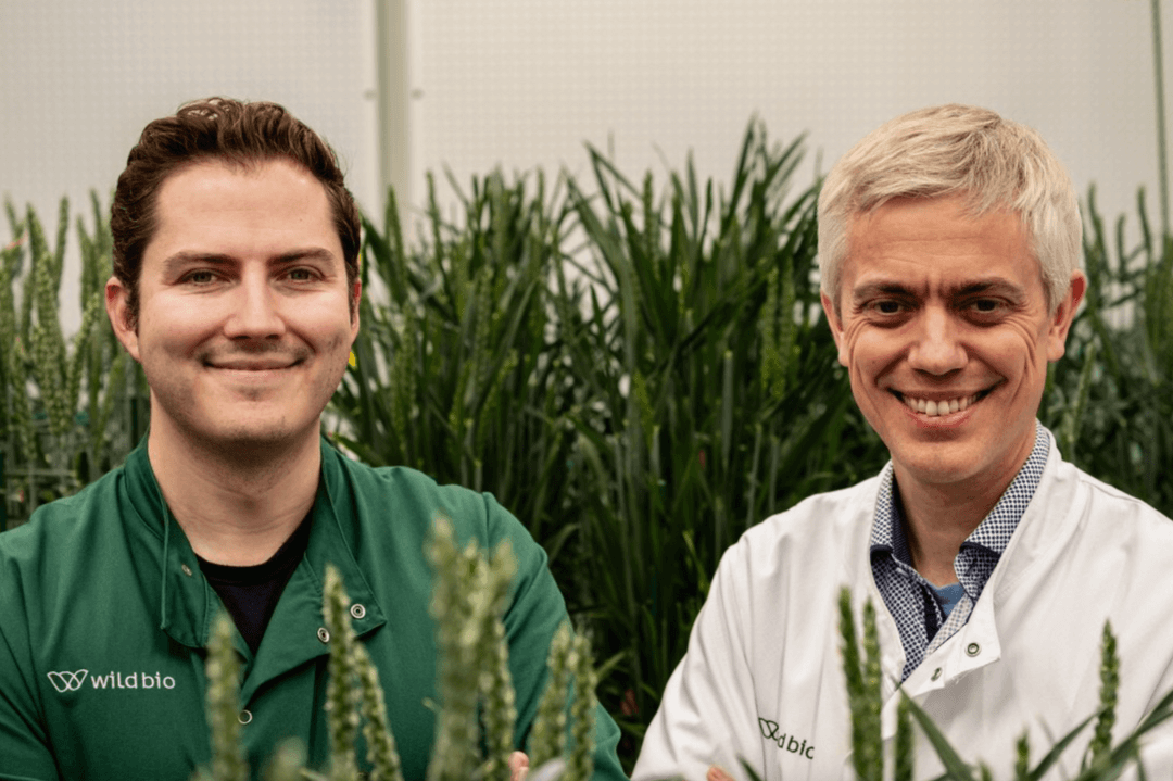Wild Bioscience raises £45m from Ellison Institute | Startupmag